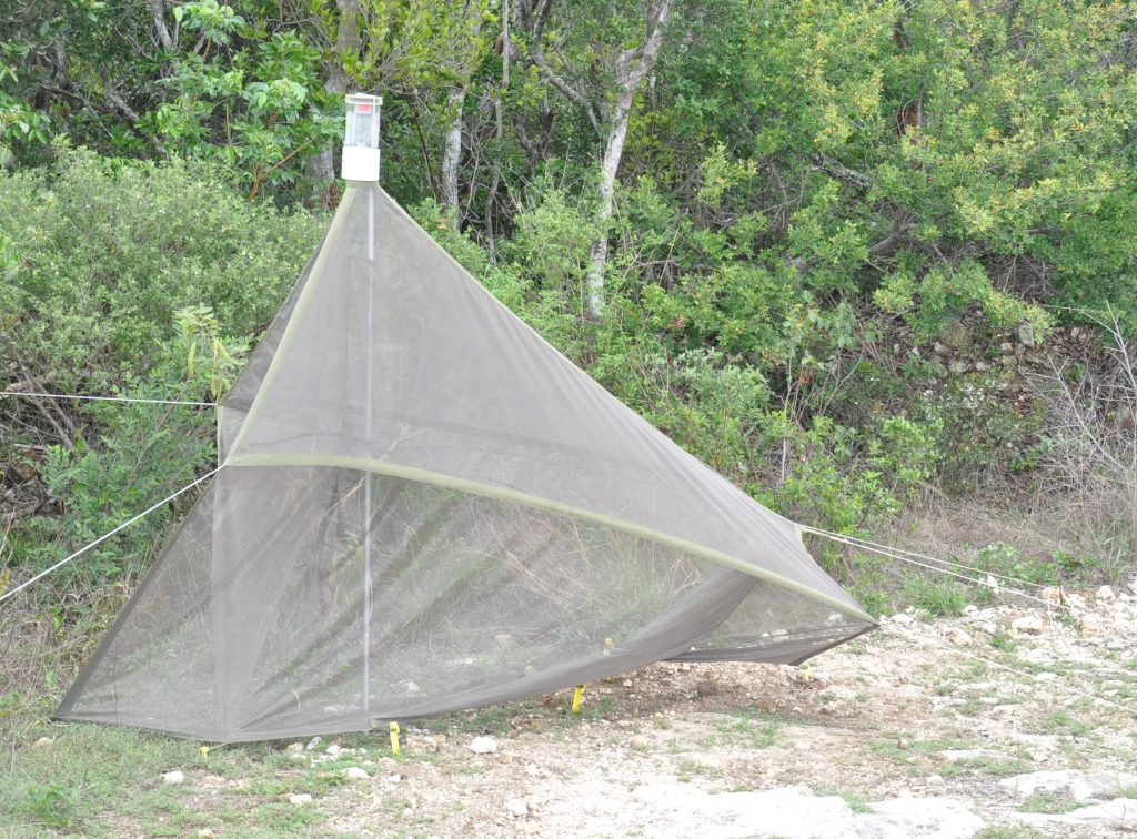 Development of the Insect Collection - Leon Levy Native Plant Preserve