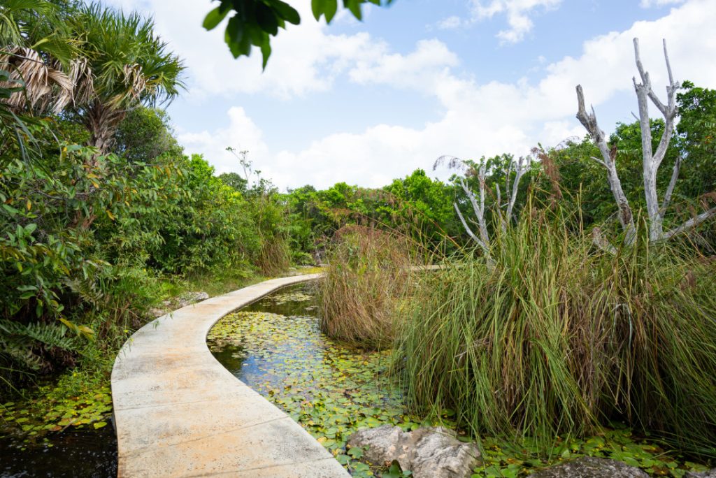Living Collections - Leon Levy Native Plant Preserve