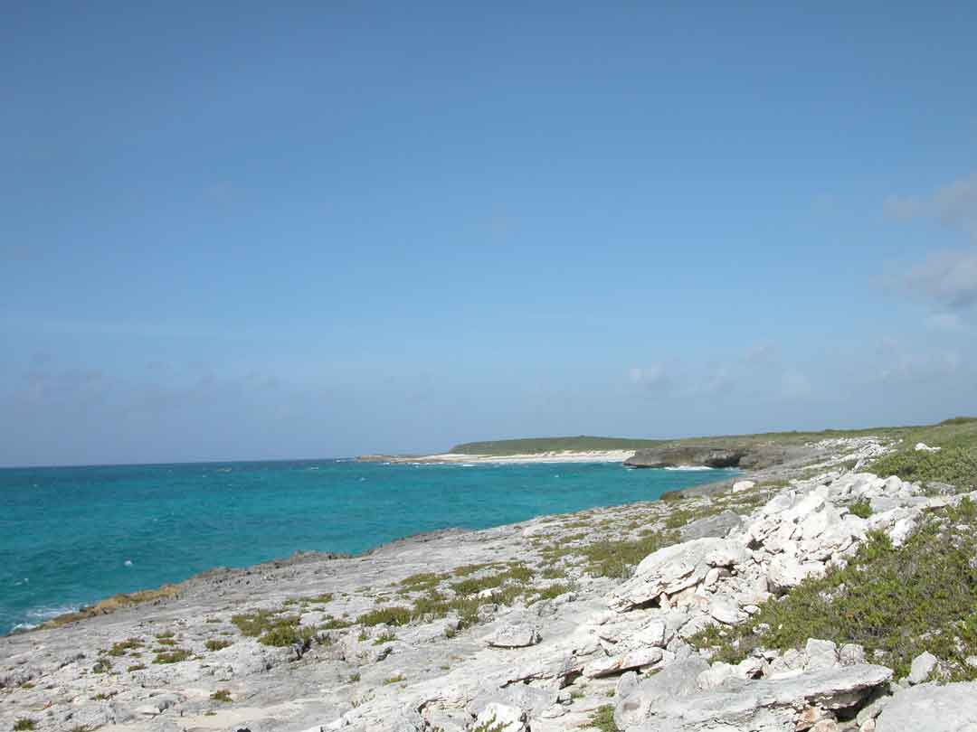 Rocky Shore - Leon Levy Native Plant Preserve